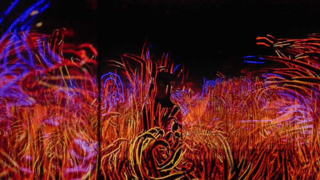 teamLab Borderless Jeddah: Summer 2024, The MiddleEast's First teamLab ...