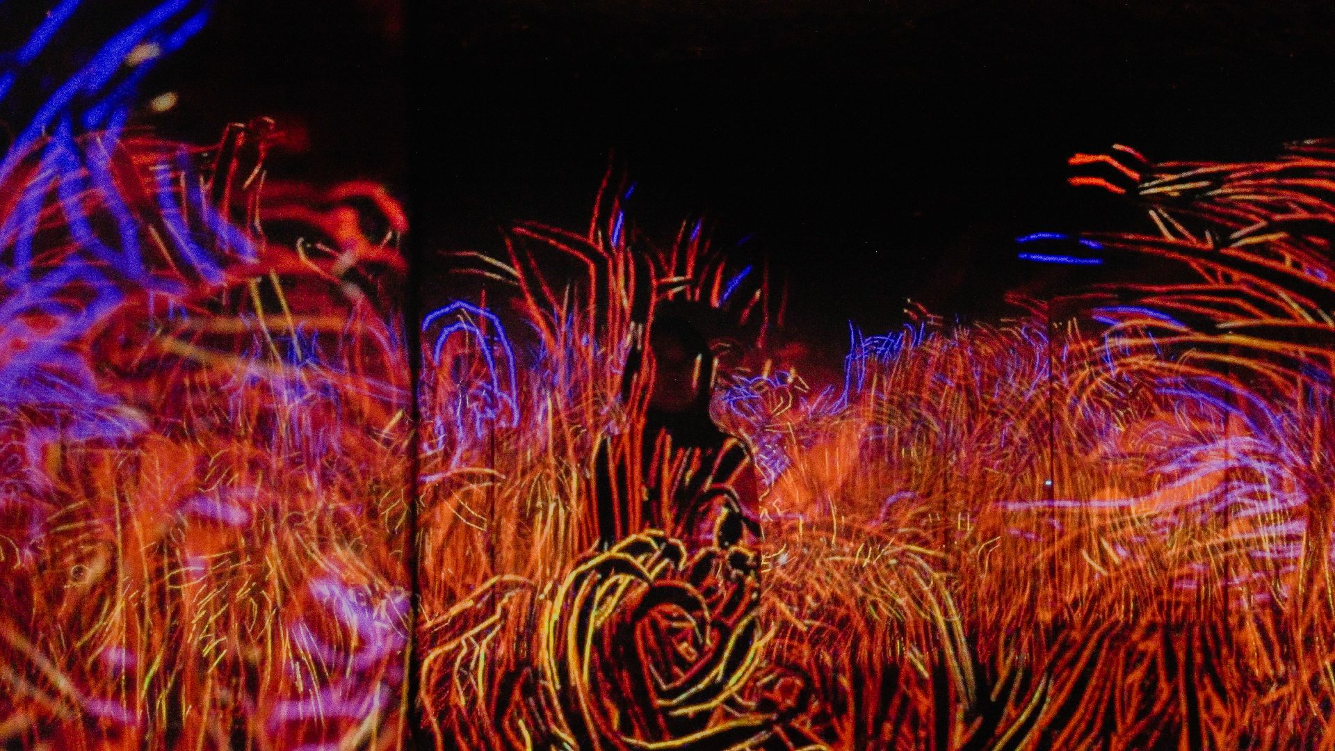 teamLab Borderless Jeddah: Summer 2024, The MiddleEast's First teamLab Borderless Museum to Open ...